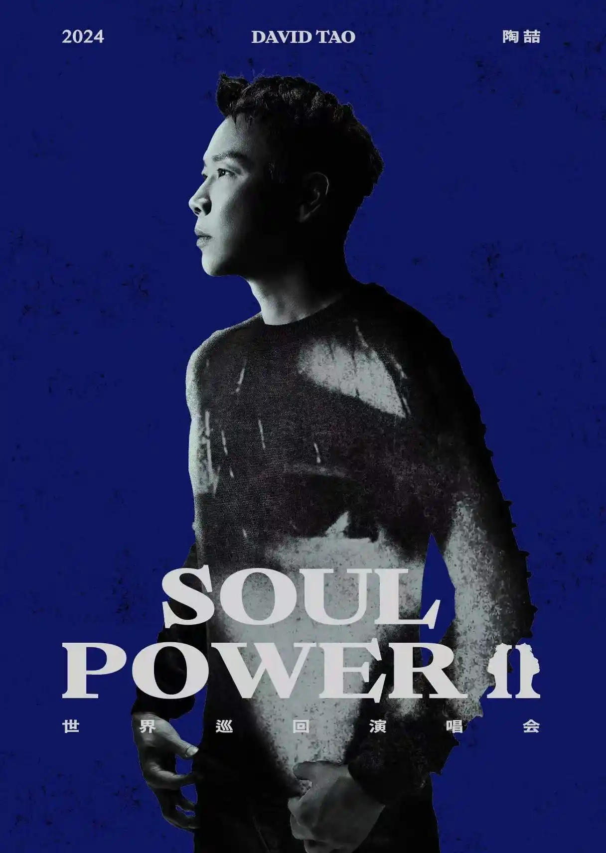 【上海】2024 陶喆 Soul Power II 世界巡回演唱会-上海站【网上订票】- 大麦网